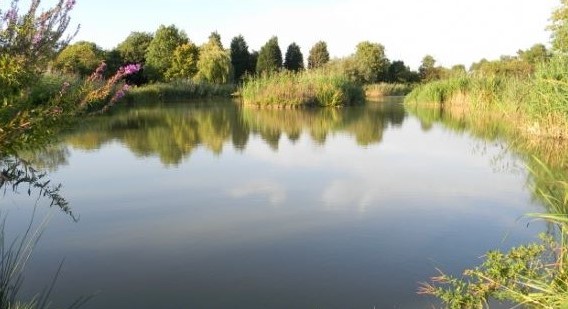 Nottinghamshire Centre